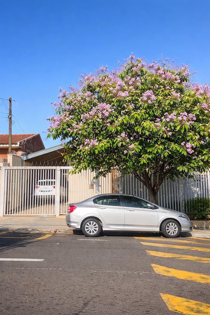 Casa Confortável E Espaçosa: 2,5 Km Do Aeroporto! - São José do Rio Preto