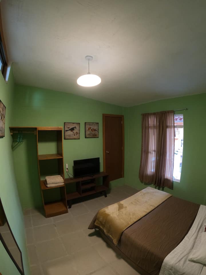 Cuarto León 1 - Orizaba
