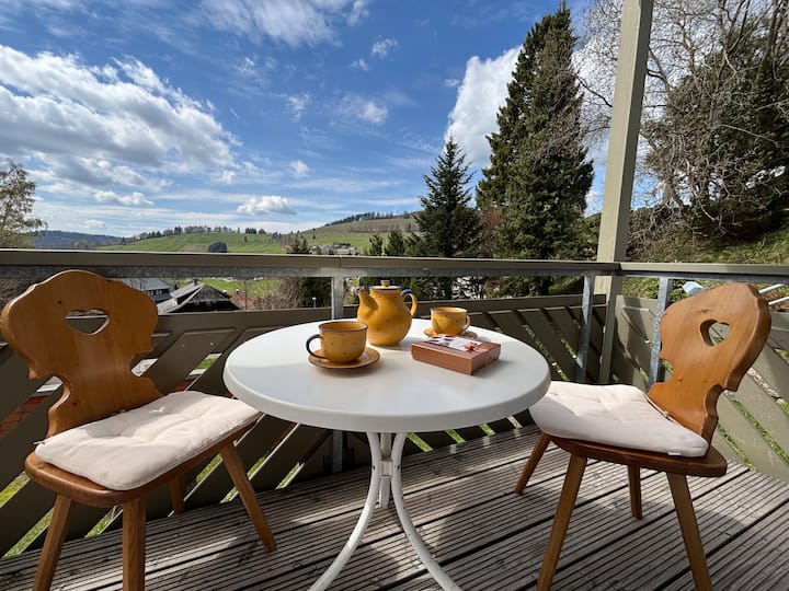 Residenz Schauinsland Apartment #1 - Todtnau