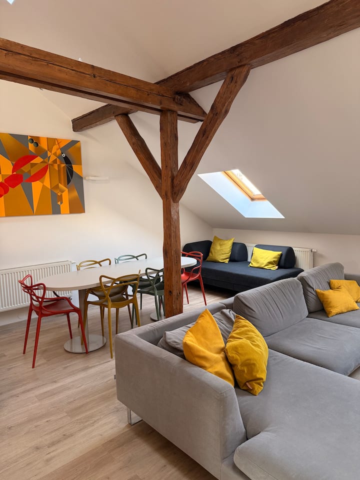 Attic Apartment For 18 Guests - Praga