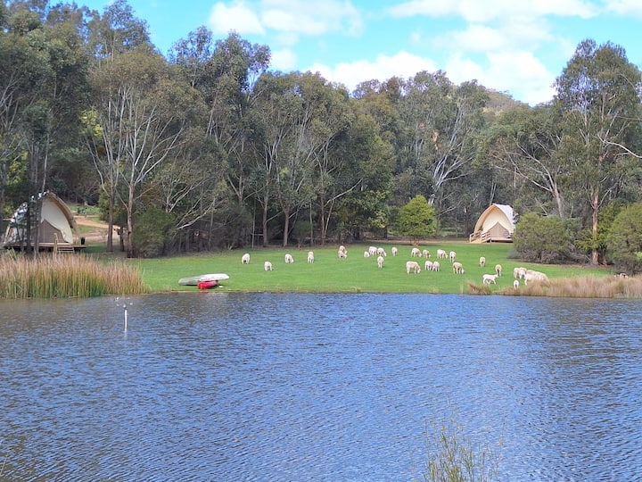 Blackwood Glamping Tent - Tranquil Rises. - Australia