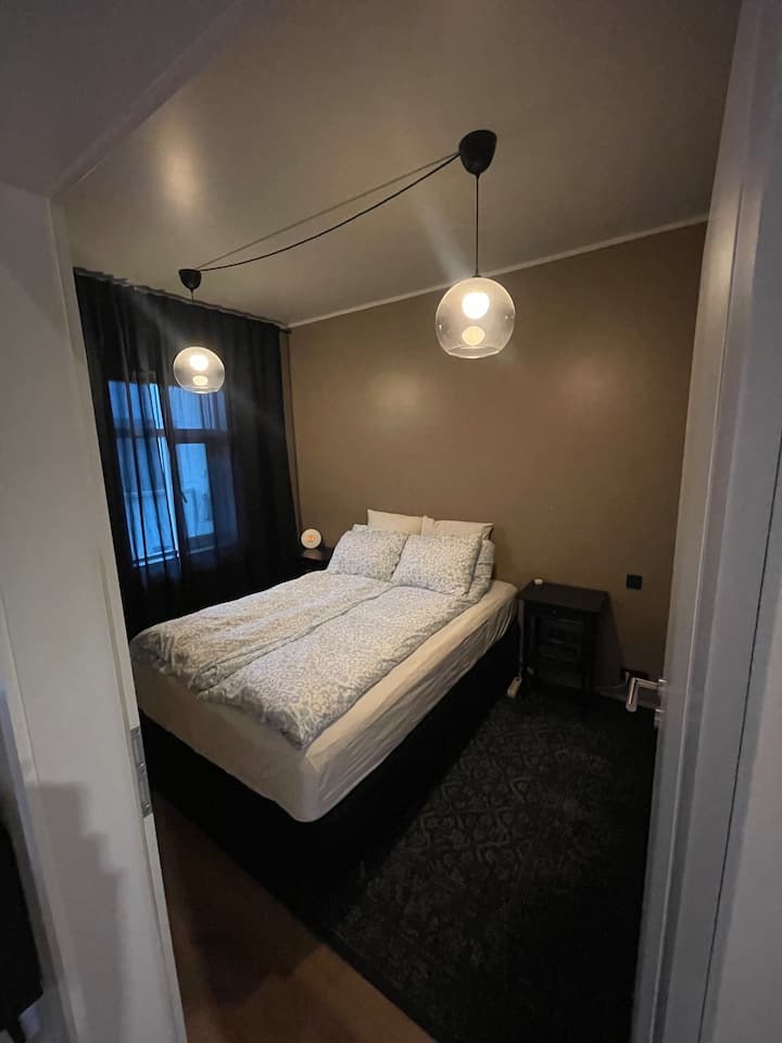 Cozy Modern Apartment Downtown Reykjavik - Reykjavík