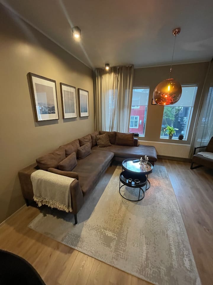 Cozy Modern Apartment Downtown Reykjavik - Reykjavik