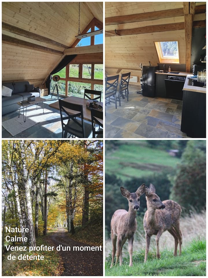 Tinyfarmdolin Orbey - Lac Noir