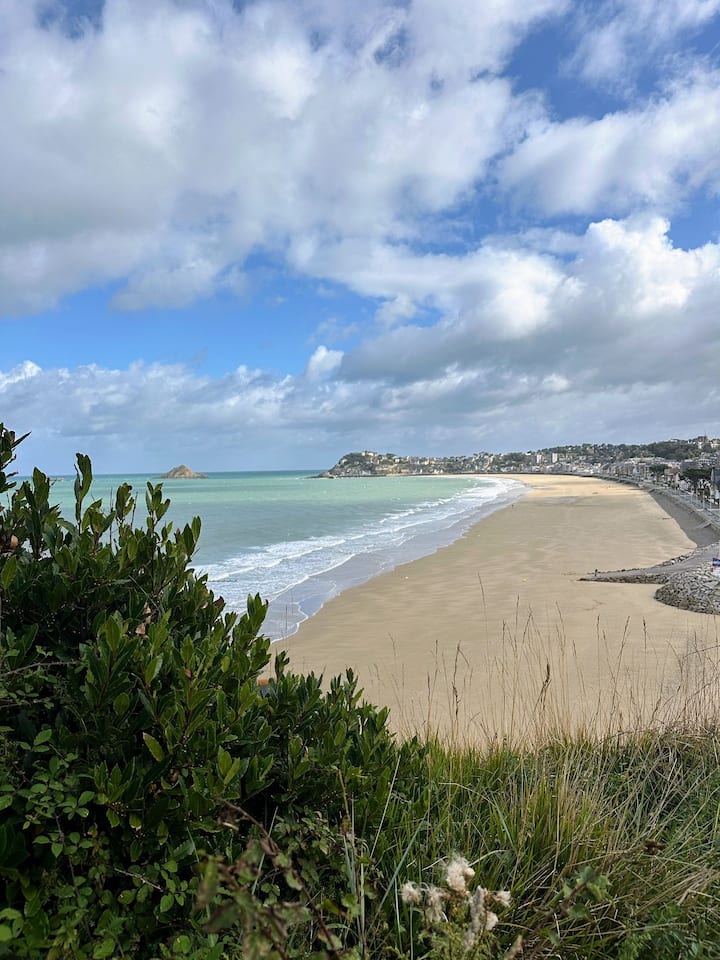 Grande Escale/sauna& Spa/ Jardin Clos- Bord De Mer - Pléneuf-Val-André