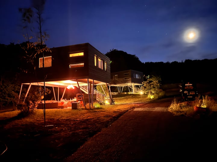 Einschlafen In Den Baumwipfeln - Bad Salzdetfurth