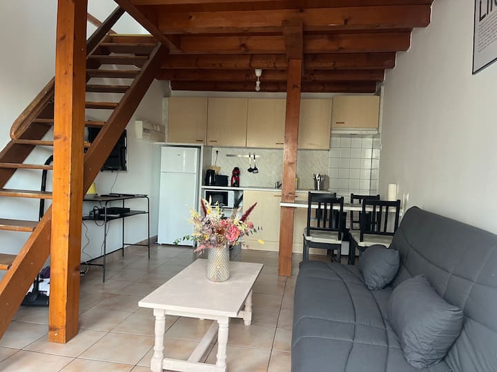 Charmant Appartement à 5 Min Du Centre De Tours - Fondettes