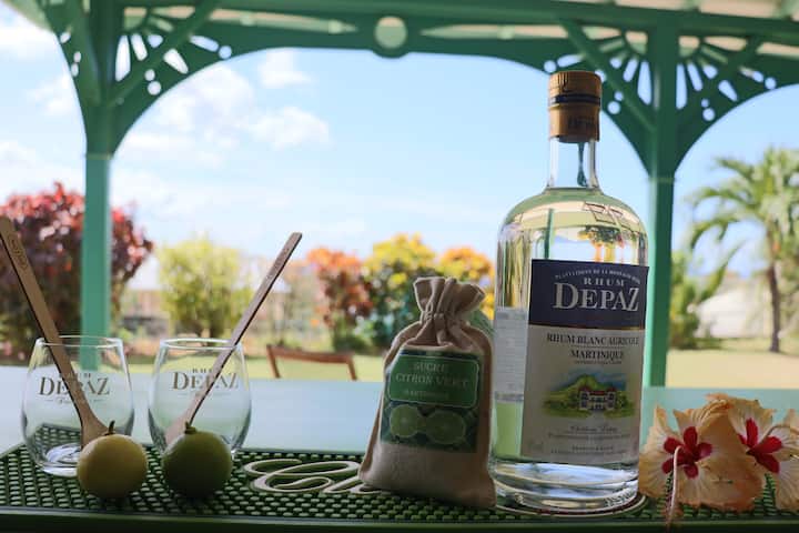 Appartement Cyparis Piscine & Jacuzzi- Vue Mer - Le Prêcheur