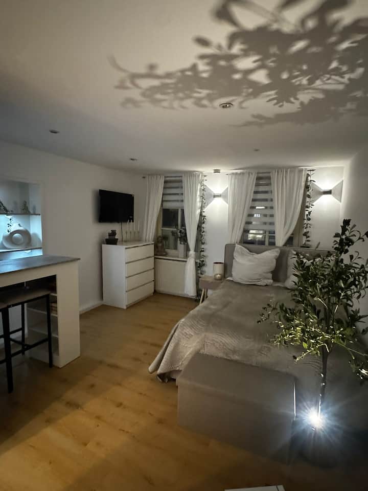 Studio Dans Un Emplacement De Premier Choix - Trèves