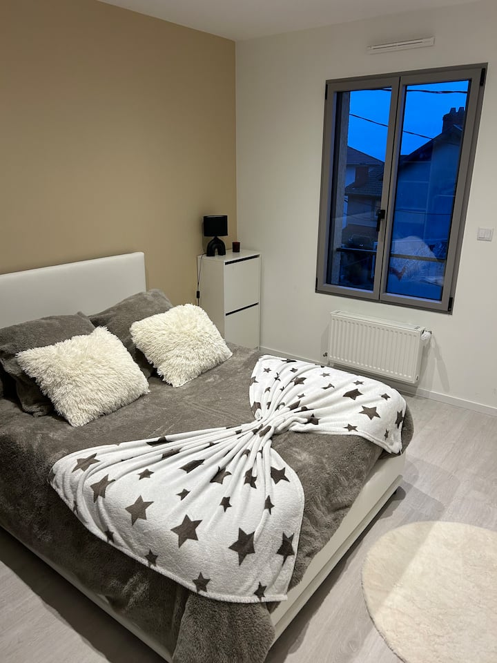 Chambre Saint Lager - Belleville, France