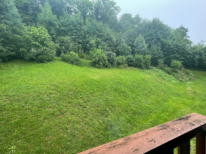 Jolie Petit Appartement - Hauteville-Lompnes