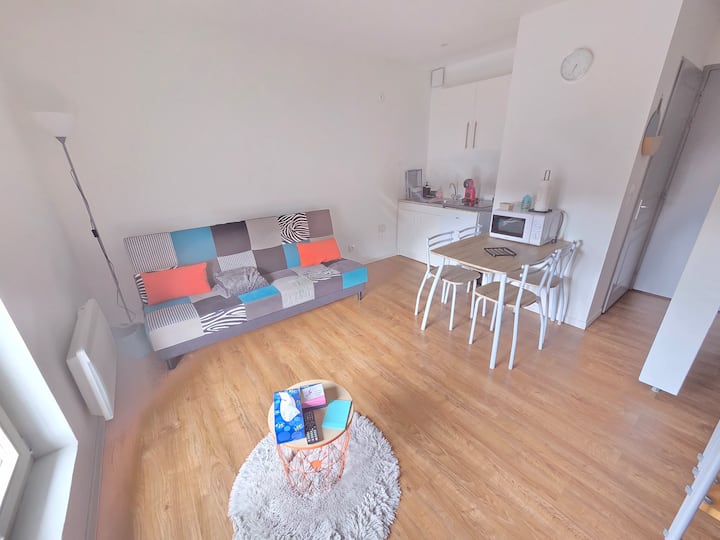 Charmant Duplex Au Centre-ville. - Marne