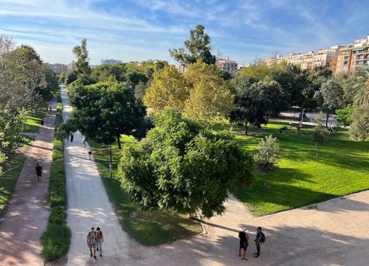 New Listing. 2 Beds 2 Balconies Historic Downtown2 - Valencia