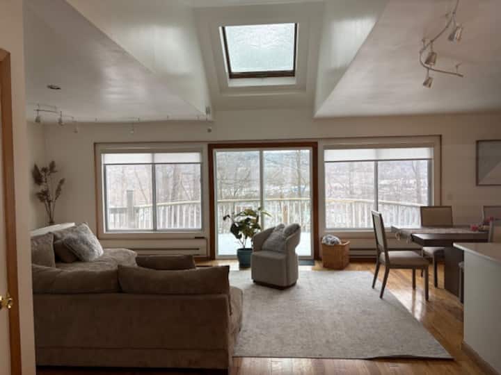Bright Downtown Townhouse With Stunning Views - Ithaca, NY