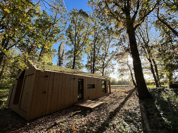 Tiny Flandrien - Ypres