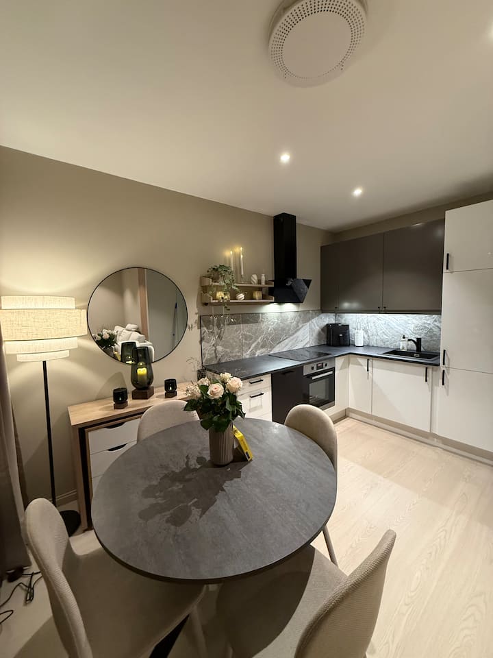 Sentral Leilighet På Solsiden - Trondheim