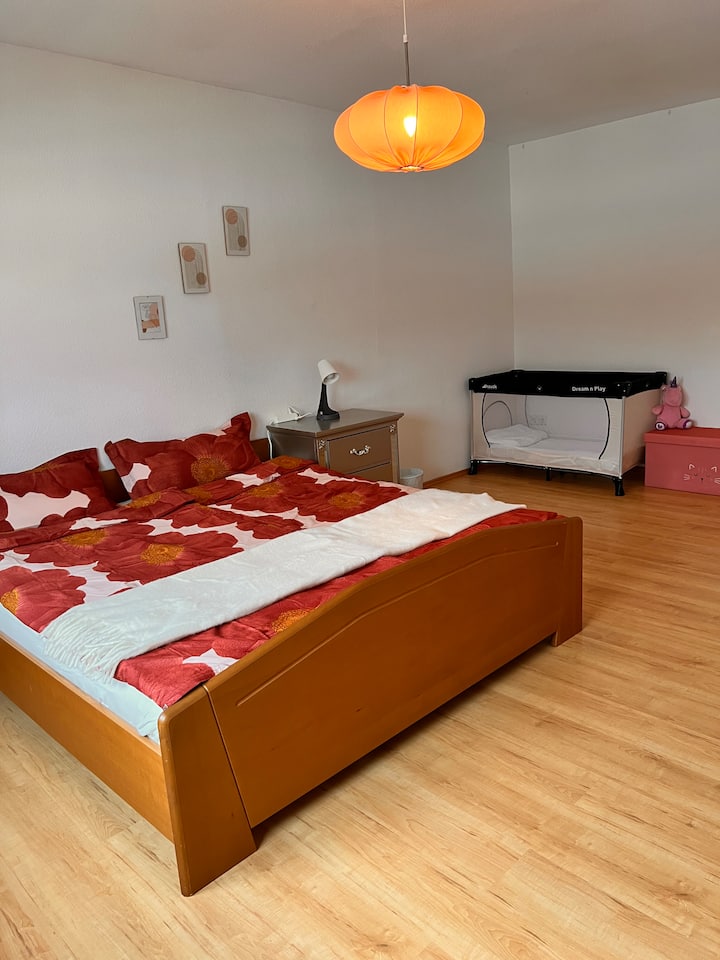 Tla / Tdy, Included Car, Shuttle, Sponsorship - Landstuhl