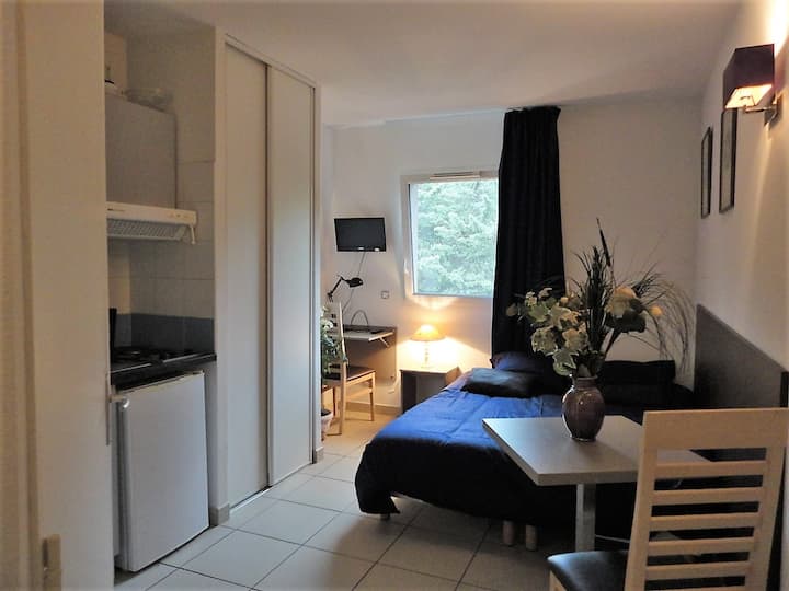 Studio 18m² Au Calme Aix-en-provence Célony - Aix-en-Provence