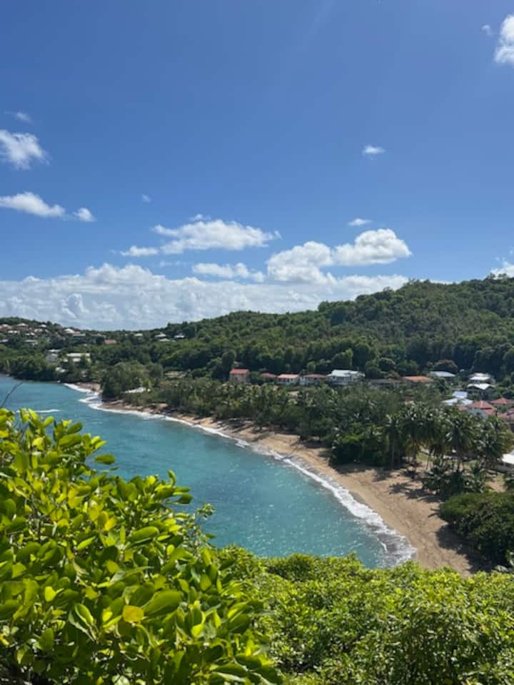 Aprt Paisible Pieds Dans L'eau Tartane -Madrépore - Martinique