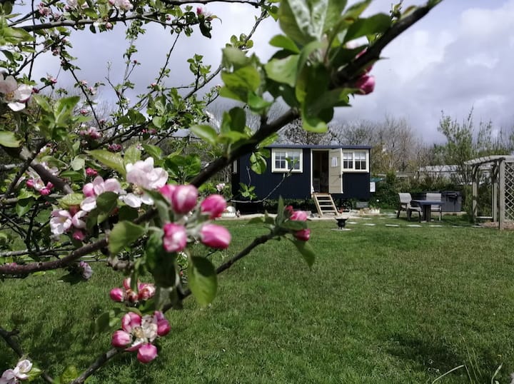 Apple Tree Shepherd Hut Near Bude - Welcombe