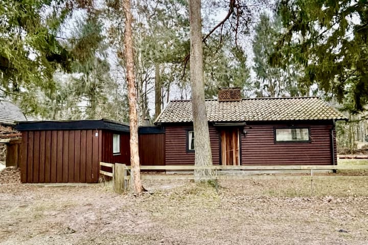 Forest Nest - Landskrona