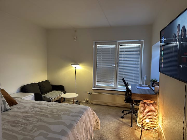 Apartment In Copenhagen Marina +2 Free Bikes & Sup - Copenhagen