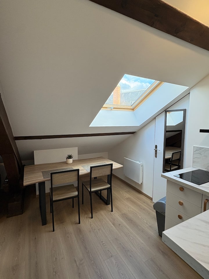 Studio Sous Combles Au Centre Ville Proche Gare - Épinal