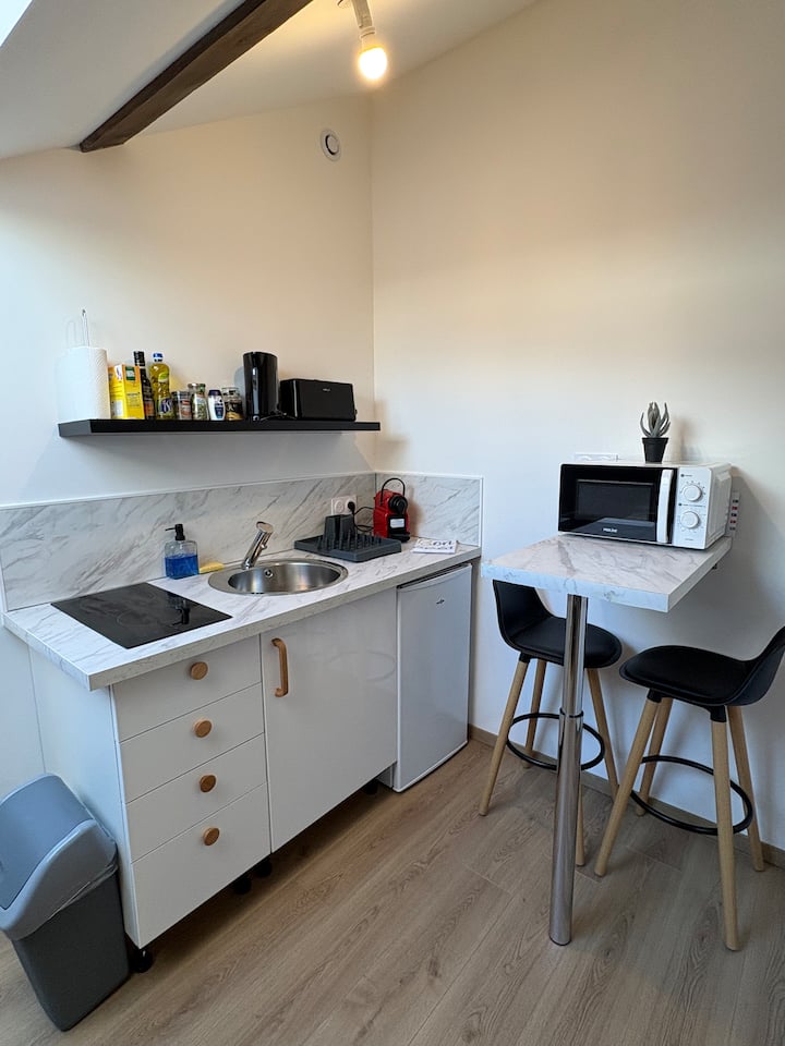 Studio Sous Combles Au Centre Ville Proche Gare - Épinal