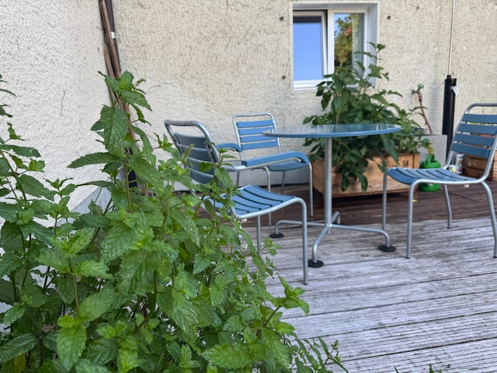 Einfaches Zimmer Mit Gartenbenutzung Und Sauna - Aarau