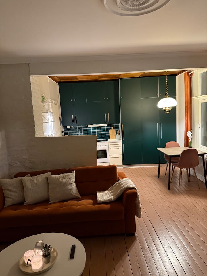 Cozy City Center Apartment For 3 Pepole - Tromsø