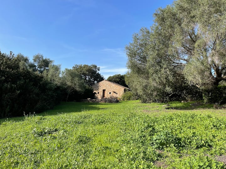 Bergerie Authentique à Proximité Des Plages - Sartène