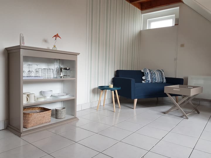 Petite Chalet Avec Jardinet - Roscoff