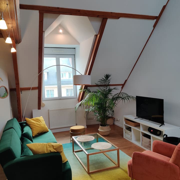 Appartement Hypercentre, Parking Privé - Caen