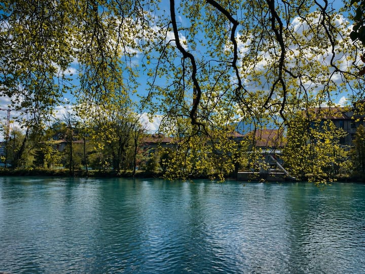 Central12 – Free Private Parking - 5 Min Old Thun - Spiez