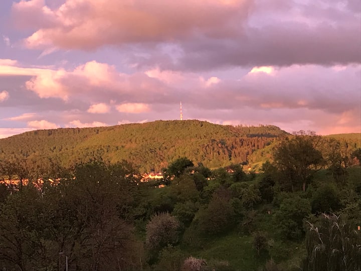 Ferienwohnung "Braunenbergblick" - Aalen