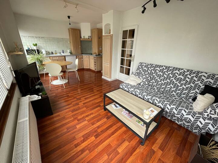 T1 Bis Meublé De 36m2 Avec Balcon - Annemasse