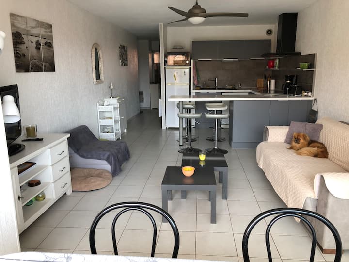 Grand Appart T2 Proche Plage/centre - Vendres