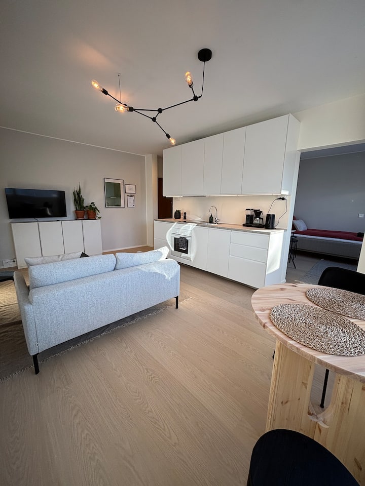 Viihtyisä Kaksio Lähellä Juna-asemaa, Oma Parkki - Vantaa