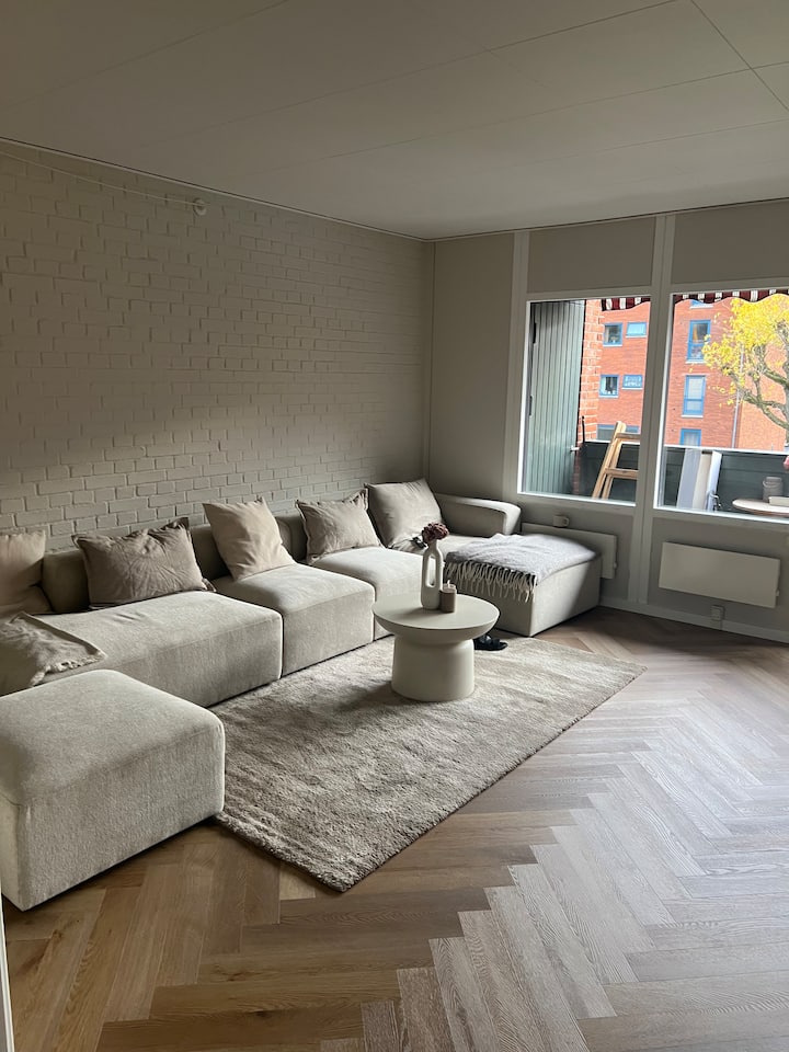 Rummelig Og Hyggelig Lejlighed I Valby - Copenhague