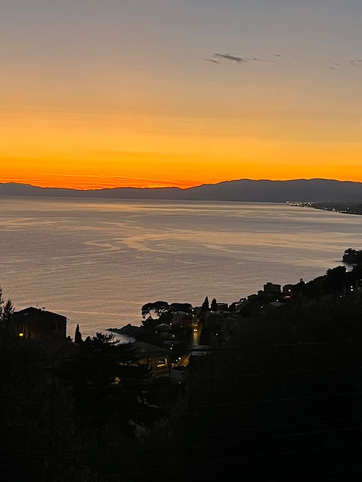 Appartamento Vista Mare - Camogli