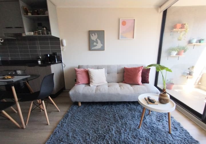 Departamento Con Linda Vista, Cerca Del Movistar - Santiago