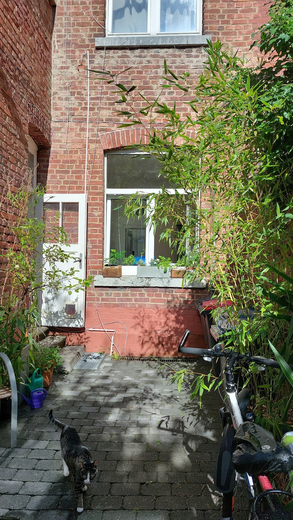 Joyau de l'époque Gründerzeit dans le parc thermal au cœur d'Aix-la ...