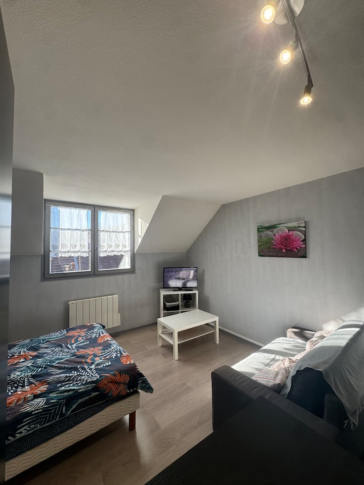 Studio Confortable Proche Thermes - Arc-et-Senans