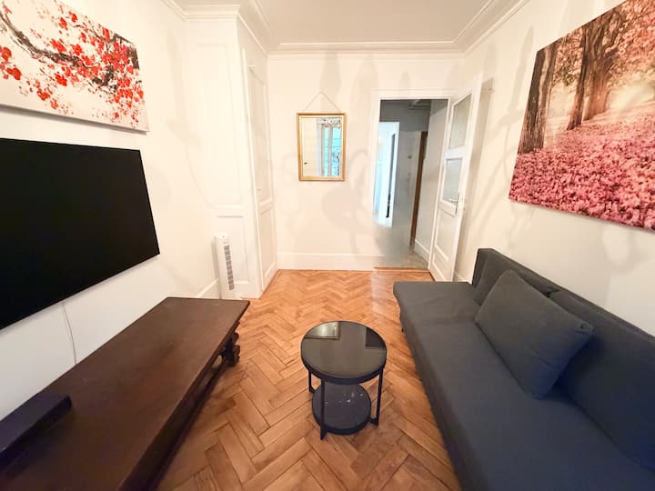 Gm235 Great Apart Geneva Center Hôpital Old Town - Carouge