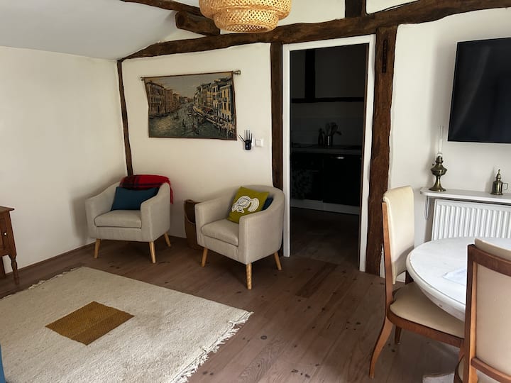 La Maison De Borie - Fumel