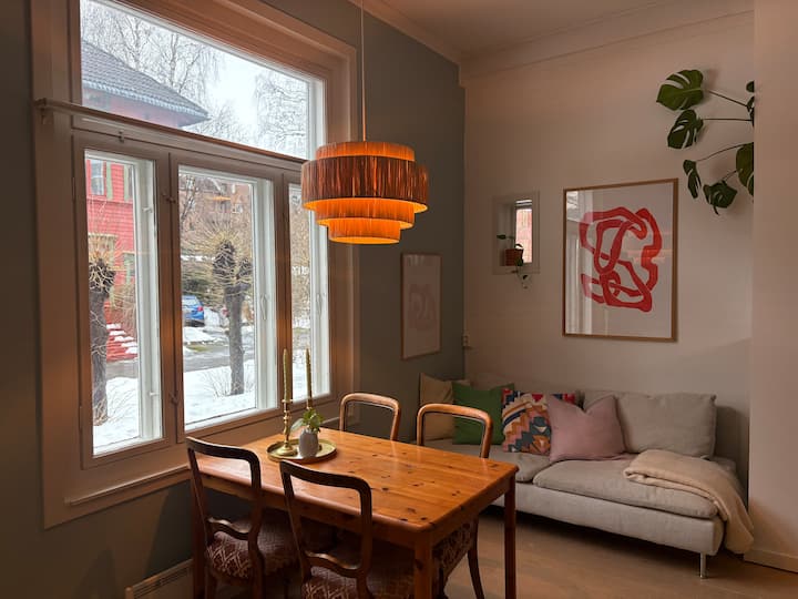 Sjarmerende Studioleilighet I Hjertet Av Fagerborg - Oslo