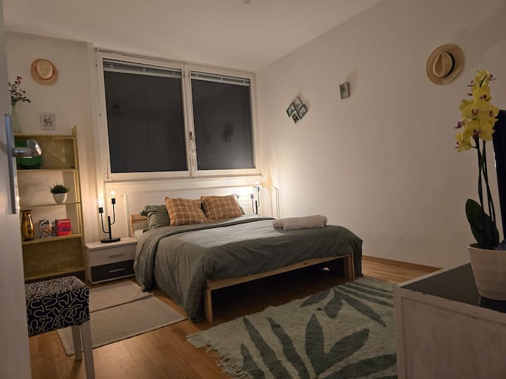 Chambre Lumineuse Et Paisible. - Saint-Julien-en-Genevois