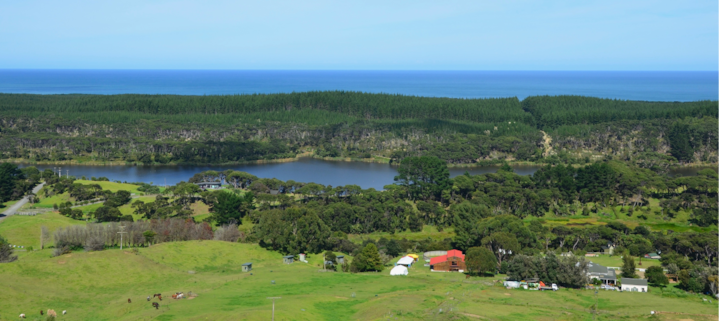 Calm, Cosy Retreat Among Horses - Parakai