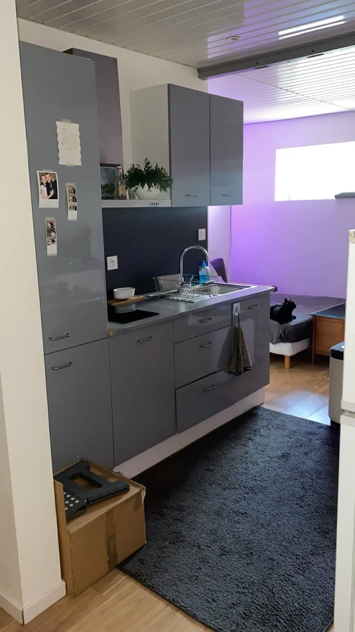 Studio De 27m Carré - Saint-Chef