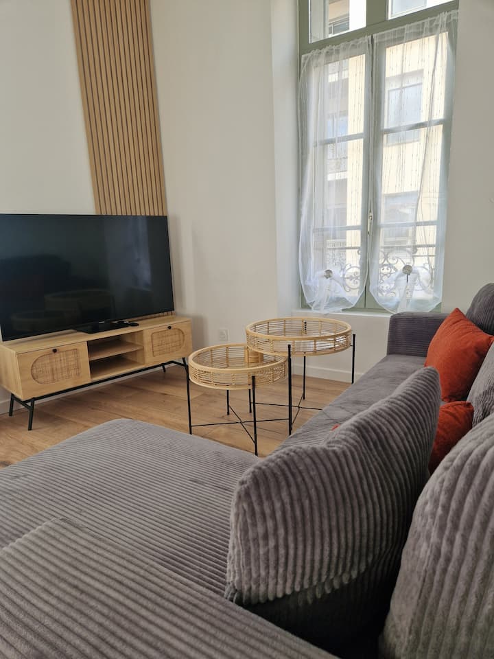 T2 Chaleureux - Proche De La Gare - Saint-Étienne